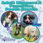 Adult Manners & Pawsitive Pooch Bundle - Think Pawsitive