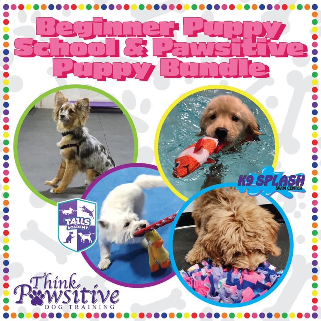 Beginner Puppy School & Pawsitive Puppy Bundle - Think Pawsitive